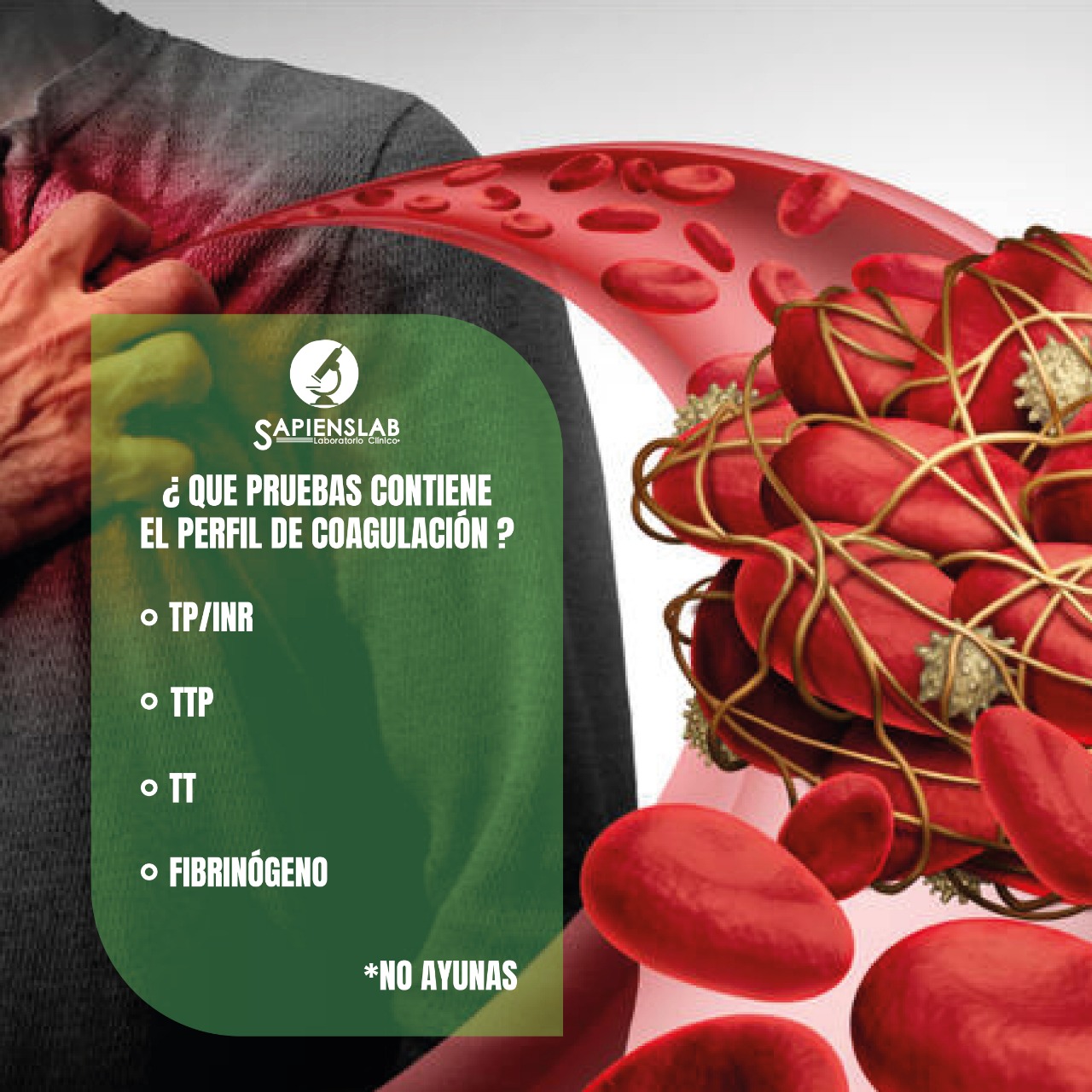 Sapienslab - SapiensLab